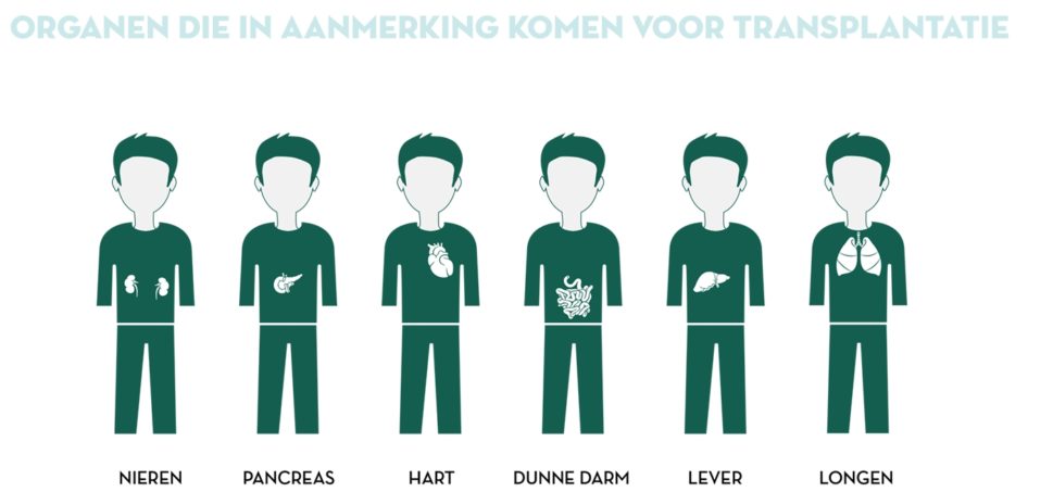 221 Ninovieters zijn zeker orgaandonor