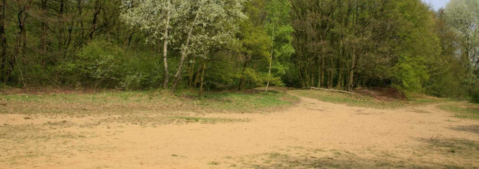 Brandgevaarcode geel geactiveerd in hele provincie