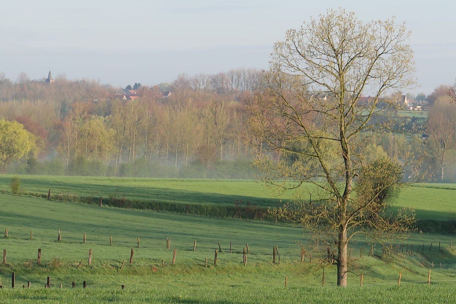 Forza Ninove dringt aan op negatief advies voor Natuurbeheerplan ...
