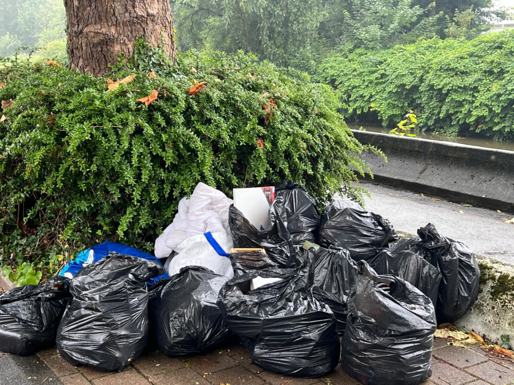 Sluikstort langs Denderkaai